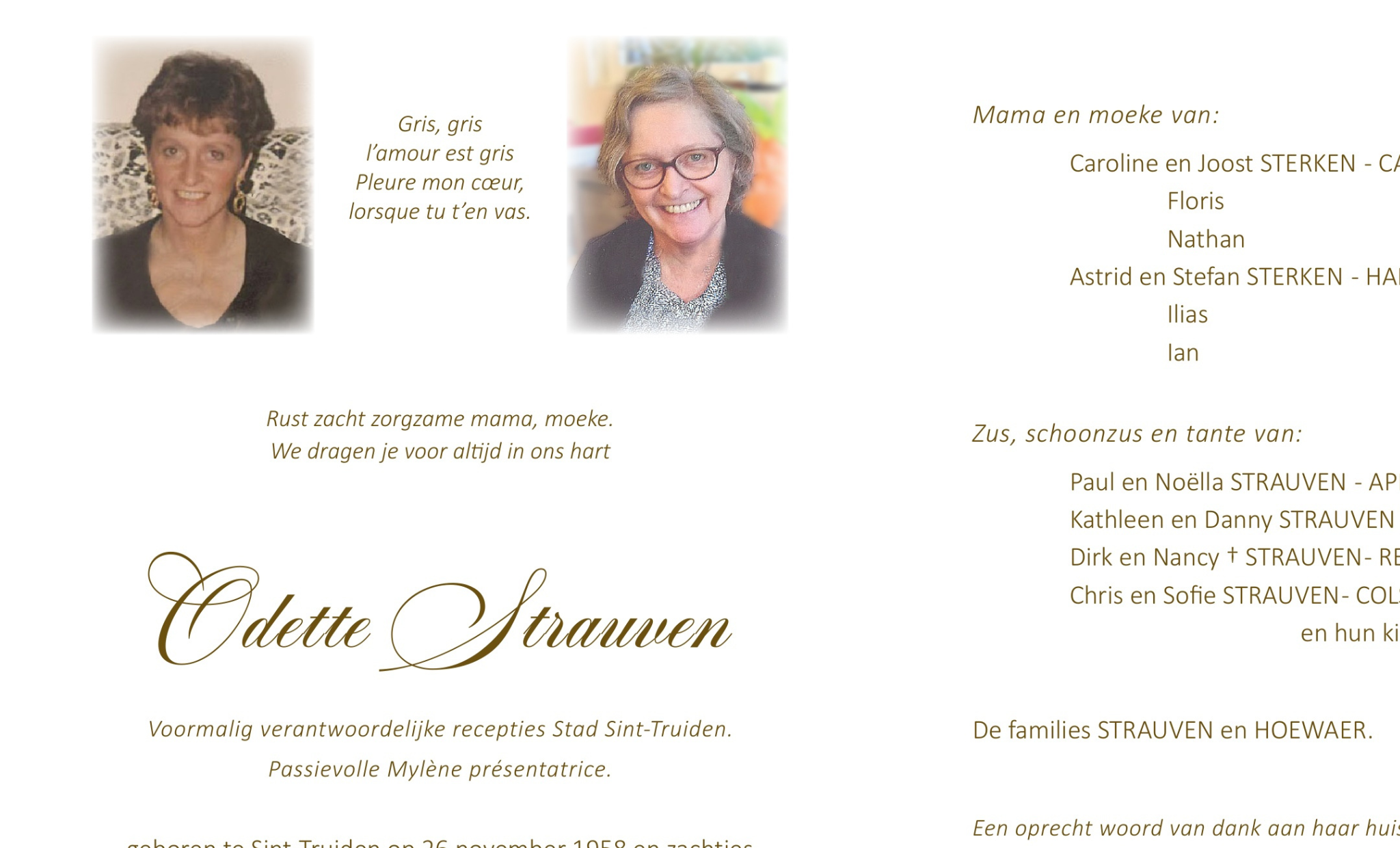 Reis Fotografie YouTube Thumbnail (2048 x 1240 px)